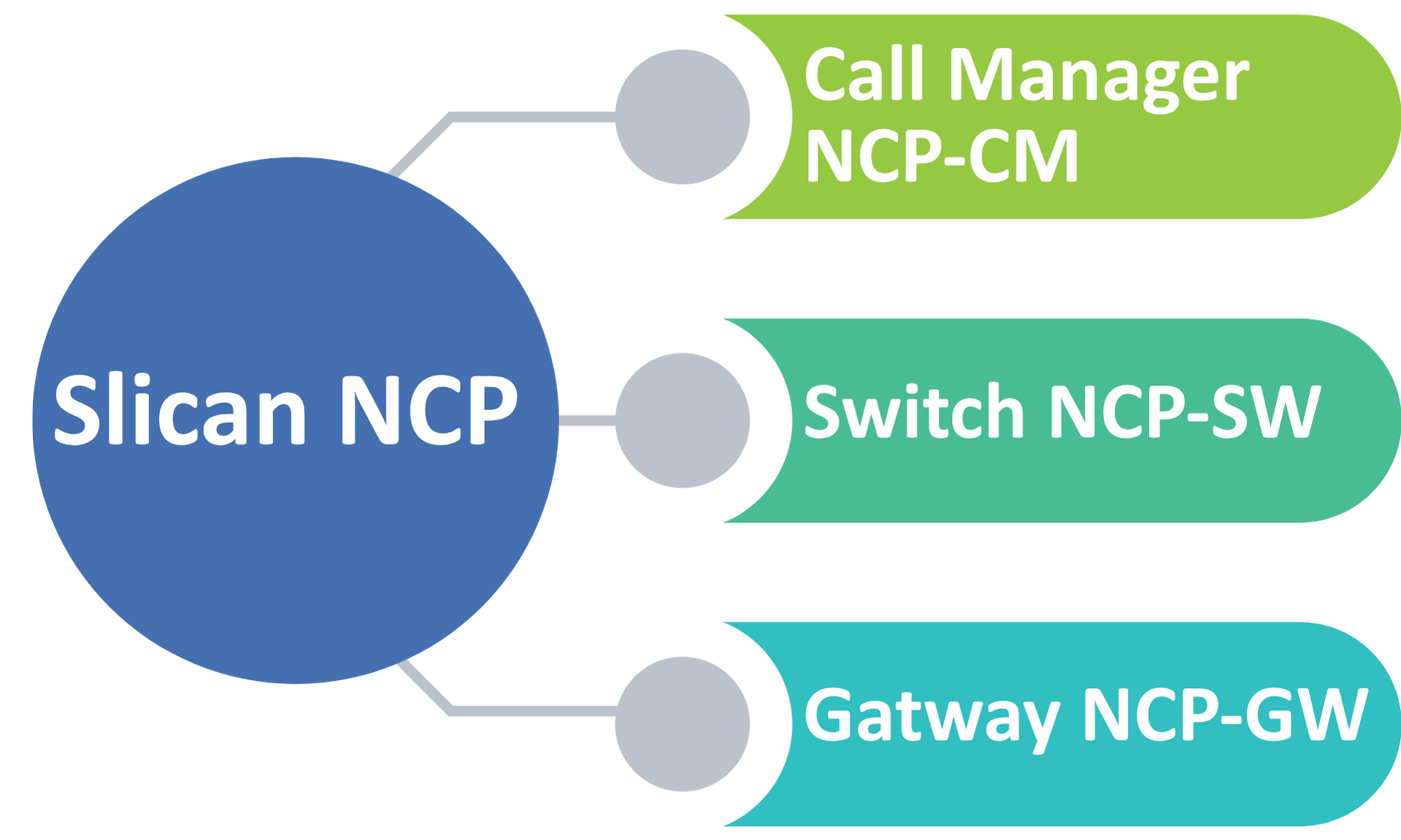 Slican NCP – Slican